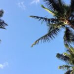 Haleakala Volcano Slingshot Tour from Lahaina - The Itinerary in Detail