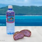 Haleiwa Express & Dole Plantation - FAQ