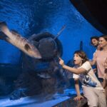 Half Day Antalya Aquarium Tour And Wax Museum - Analyzing the Tour’s Value