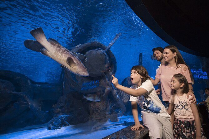 Half Day Antalya Aquarium Tour And Wax Museum - Analyzing the Tour’s Value