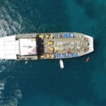 Half Day BBQ Lunch Cruise from Paphos - What You’ll Love and What to Watch For