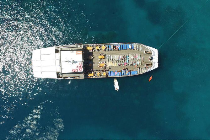 Half Day BBQ Lunch Cruise from Paphos - What You’ll Love and What to Watch For