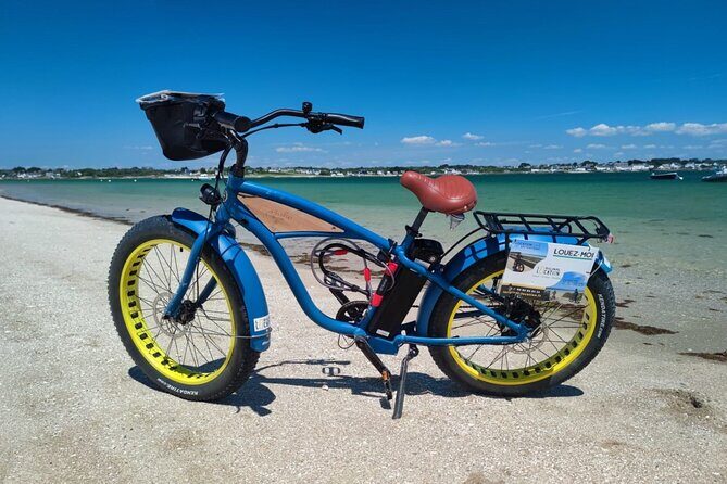 Half day circuit in Electric Fatbike Guided by GPS - The Bikes and Equipment