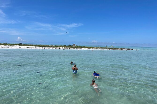 Half Day Eco and Dolphin Boat Tour in Siesta Key - What We Heard from Past Travelers