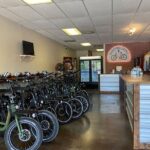 Half Day Electric Bike Rental on the Pinellas Trail - Who Is This Tour Best For?
