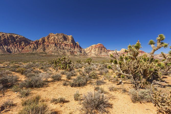 Half-Day Electric Bike Tour of Red Rock Canyon - The Route and Scenic Vistas