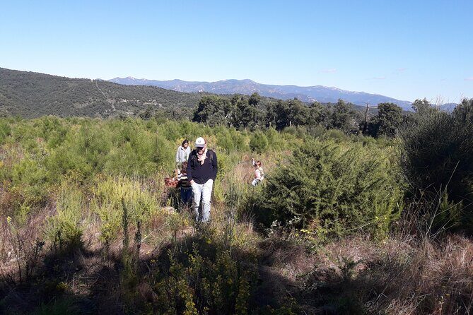 Half Day Gastronomic Wild Walk in Girona - A Closer Look at the Girona Wild Walk