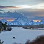 Half Day Group Sunrise Wildlife Safari - What the Tour Includes and What to Consider