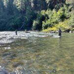 Half Day Guide Trip - Benefits and Value