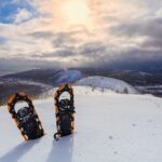 Half Day Guided Snowshoe Tour Near Breckenridge - Pricing and Value