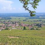 Half-Day Guided Tour with Tasting of Beaujolais Wines - An In-Depth Look at the Tour Experience