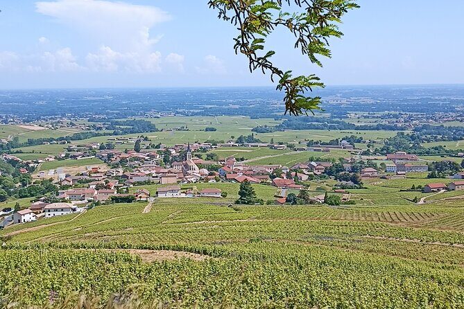 Half-Day Guided Tour with Tasting of Beaujolais Wines - An In-Depth Look at the Tour Experience