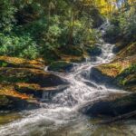 Half Day Hike - Water Falls - The Sum Up: Is This the Right Asheville Waterfalls Hike for You?
