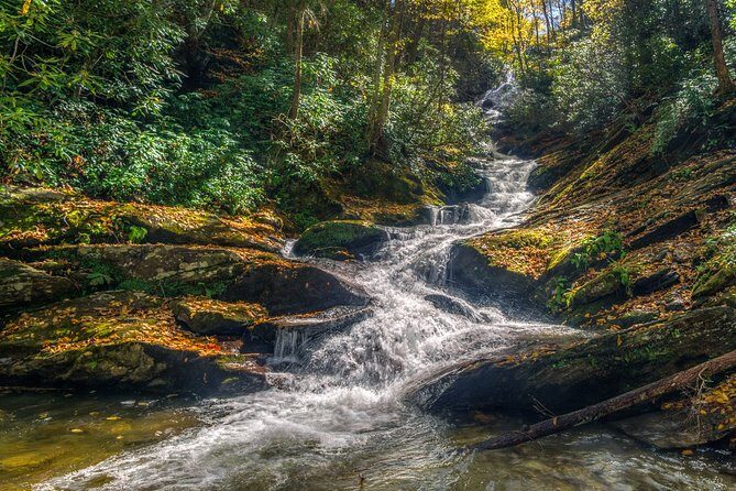 Half Day Hike - Water Falls - The Sum Up: Is This the Right Asheville Waterfalls Hike for You?