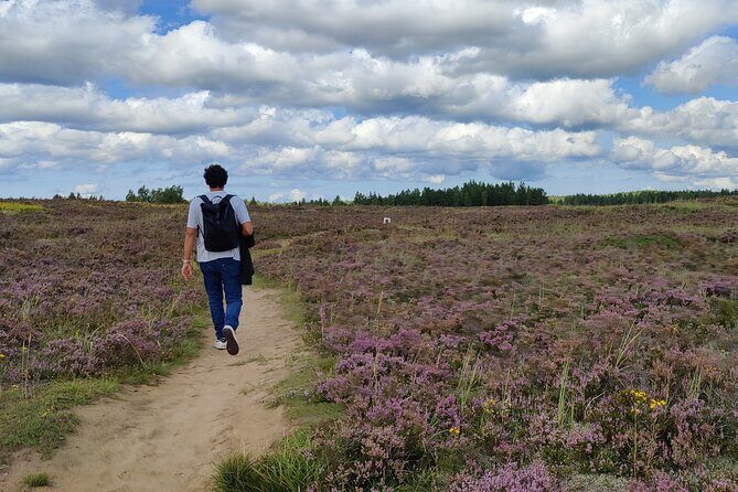 Half Day Hiking Tour in Beautiful Estonian Nature - An In-Depth Look at the Tour Experience