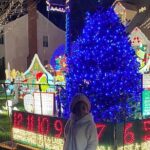 Half-Day Holiday and Tacky Lights Tour in Richmond - Who Should Consider This Tour?