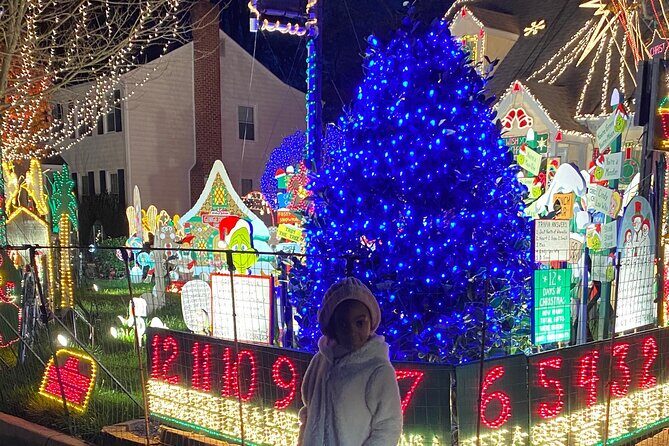 Half-Day Holiday and Tacky Lights Tour in Richmond - Who Should Consider This Tour?