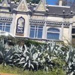 Half Day Hollywood and Beverly Hills Tour - Transportation & Group Experience