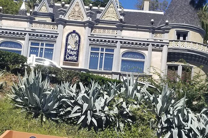 Half Day Hollywood and Beverly Hills Tour - Transportation & Group Experience
