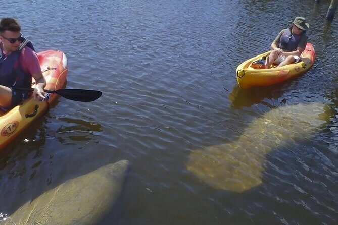 Half Day Kayak or SUP Rental (3hr) - Bunche Beach - What You’ll Love About This Experience