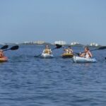 Half Day Kayak or SUP Rental (3hr) - Pelican Bay - An Honest Look at a Self-Guided Florida Kayak/SUP Experience