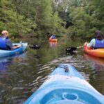 Half Day Kayak Rental on Sebago Lake - An In-Depth Look at the Experience
