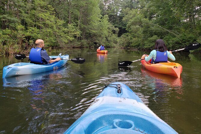 Half Day Kayak Rental on Sebago Lake - An In-Depth Look at the Experience