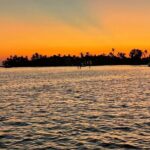 Half Day Keewaydin Shelling and Beach Adventure (Private) - The Scenic Boat Ride