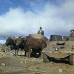 Half-Day Lajes Air Base Historic Sightseeing Tour - Key Points