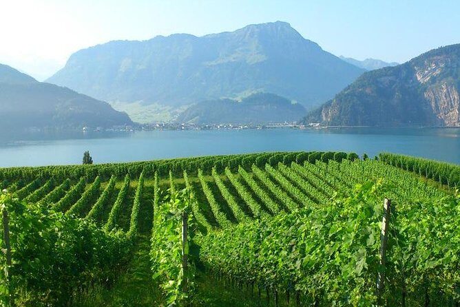 Half-Day Lake Lucerne Country Walk - The Itinerary in Detail