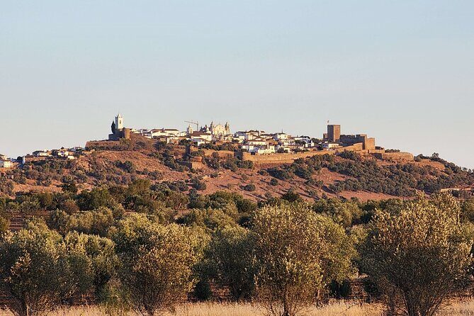 Half Day Monsaraz Tour from Evora by Archaeologists - Monsaraz Castle and the Walls