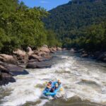 Half Day New River Gorge Whitewater Rafting - What to Expect from Your Whitewater Adventure