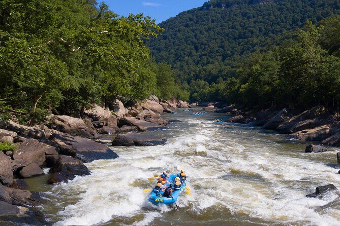Half Day New River Gorge Whitewater Rafting - What to Expect from Your Whitewater Adventure