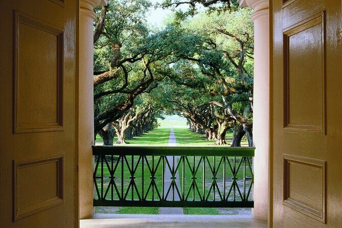 Half-Day Oak Alley Plantation Tour in Vacherie - The Value of This Tour