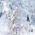 Half-Day Premium Ice Climbing in Pyhä Lapland - Value & Pricing