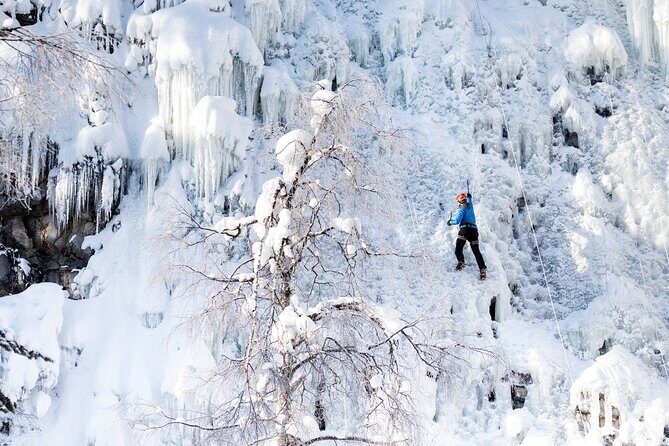 Half-Day Premium Ice Climbing in Pyhä Lapland - Value & Pricing