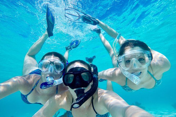 Half Day Private Boat Tour - In-Depth Look at the Itinerary