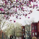Half-Day Private Guided Bike Tour in Washington - The Practical Value of a Private Bike Tour in DC