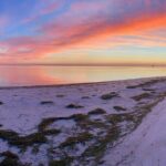 Half-Day Private Guided Nature of Floridas Gulf Coast Eco Tour - Who Will Love This Tour?