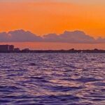 Half-Day Private Guided Sailing Adventure of Miami's Biscayne Bay - The Itinerary and What to Expect
