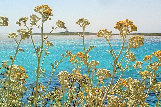 Half-Day Private Menorca Sightseeing Tour - FAQs
