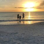 Half-Day Private Sarasota Charter Tour with Wildlife Watching - What Travelers Say: Authentic Insights from Reviews
