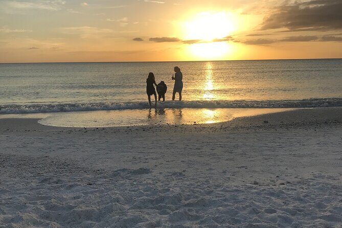 Half-Day Private Sarasota Charter Tour with Wildlife Watching - What Travelers Say: Authentic Insights from Reviews