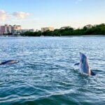 Half-Day Private Tiki Boat Beach Tour from Fort Myers - Why Travelers Keep Coming Back: Highlights from Reviews