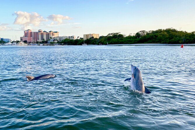 Half-Day Private Tiki Boat Beach Tour from Fort Myers - Why Travelers Keep Coming Back: Highlights from Reviews