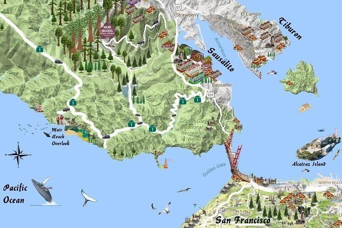 Half-Day Private Tour of Muir Woods & Sausalito from San Francisco - An In-Depth Look at the Tour Itinerary and Experience