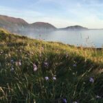 Half day private tours of the Isle of Man with a qualified Driver Guide - What Makes This Tour Special?