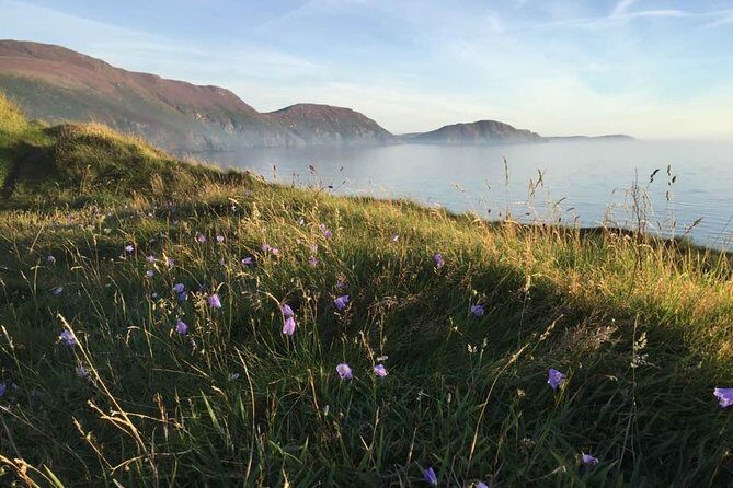 Half day private tours of the Isle of Man with a qualified Driver Guide - What Makes This Tour Special?