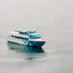 Half-day Resurrection Bay & Wildlife Tour from Seward - Why The Food and Comfort Matter