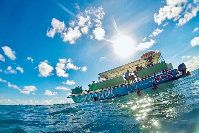 Half-Day Small-Group 2-Tank Scuba Dive in Key Largo (CERTIFIED DIVERS ONLY) - Who Is This Tour Best For?